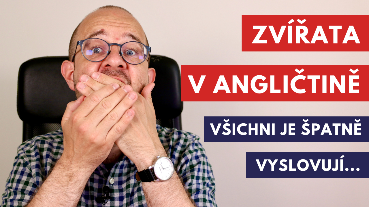 Zvířata anglicky a chyby ve výslovnosti | Broňa | Stream